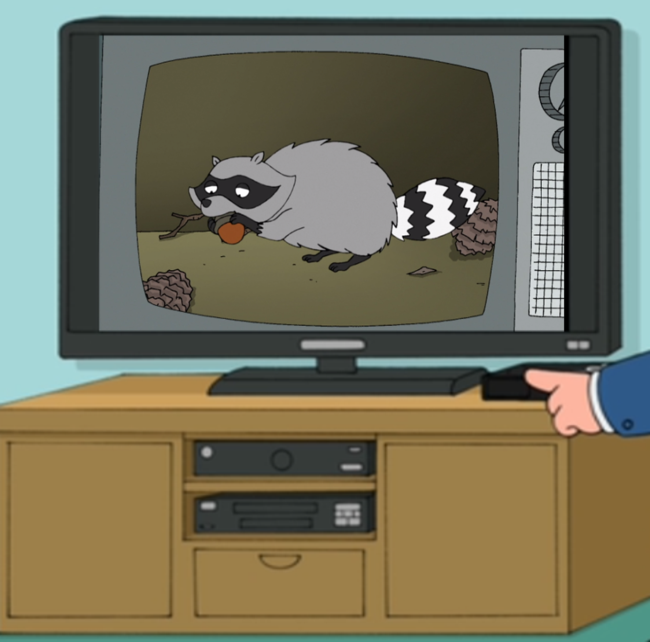Where The Hell…? Ravenous Raccoon | Family Guy Addicts